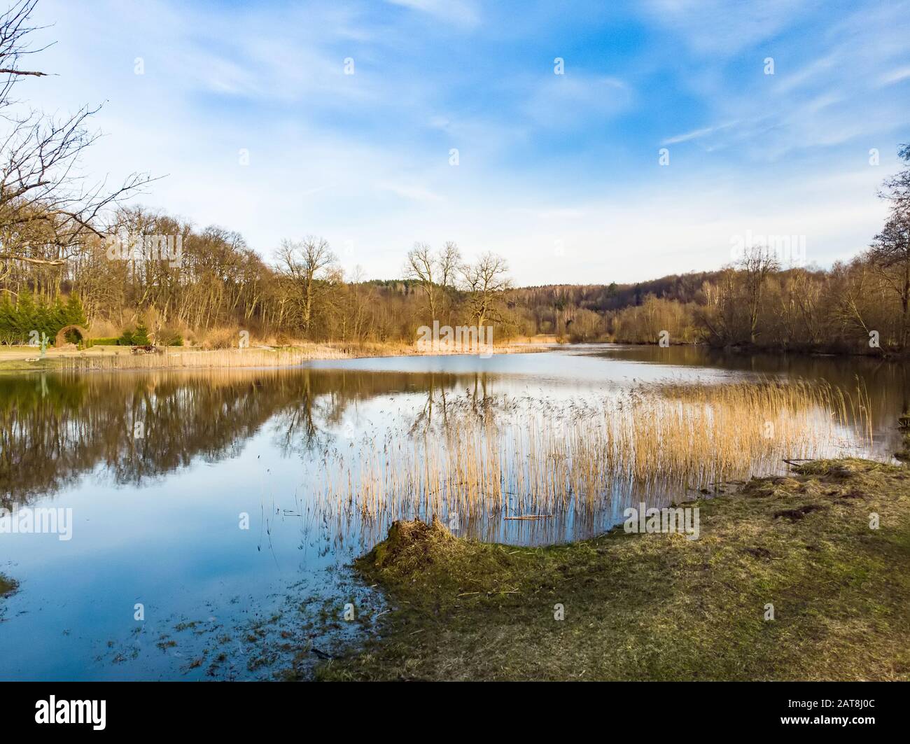 Aerial top down view of lake coast overgrown with sedge and dry grass ...
