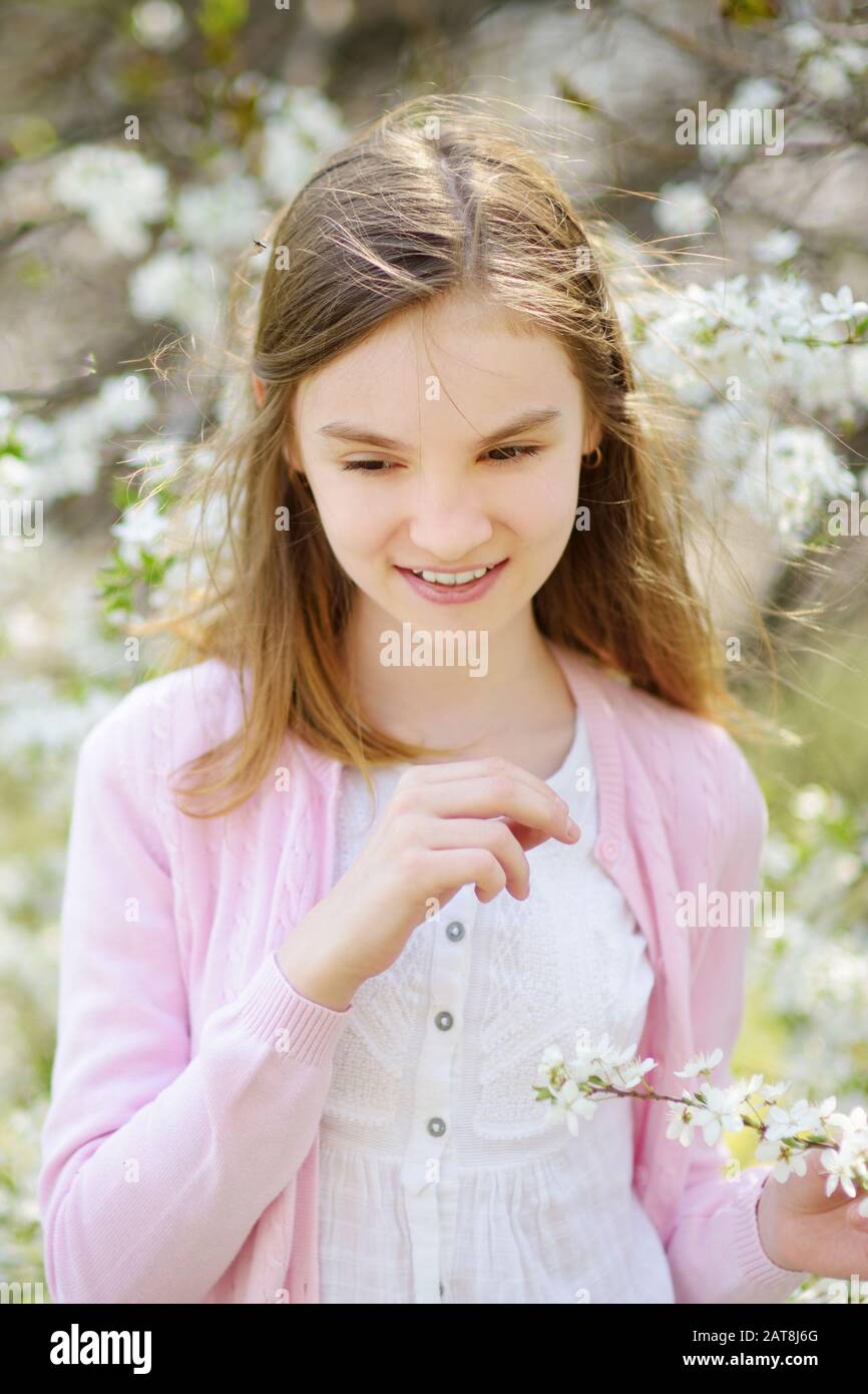 Adorable little girl in blooming apple tree garden on beautiful spring day. Cute child picking ...