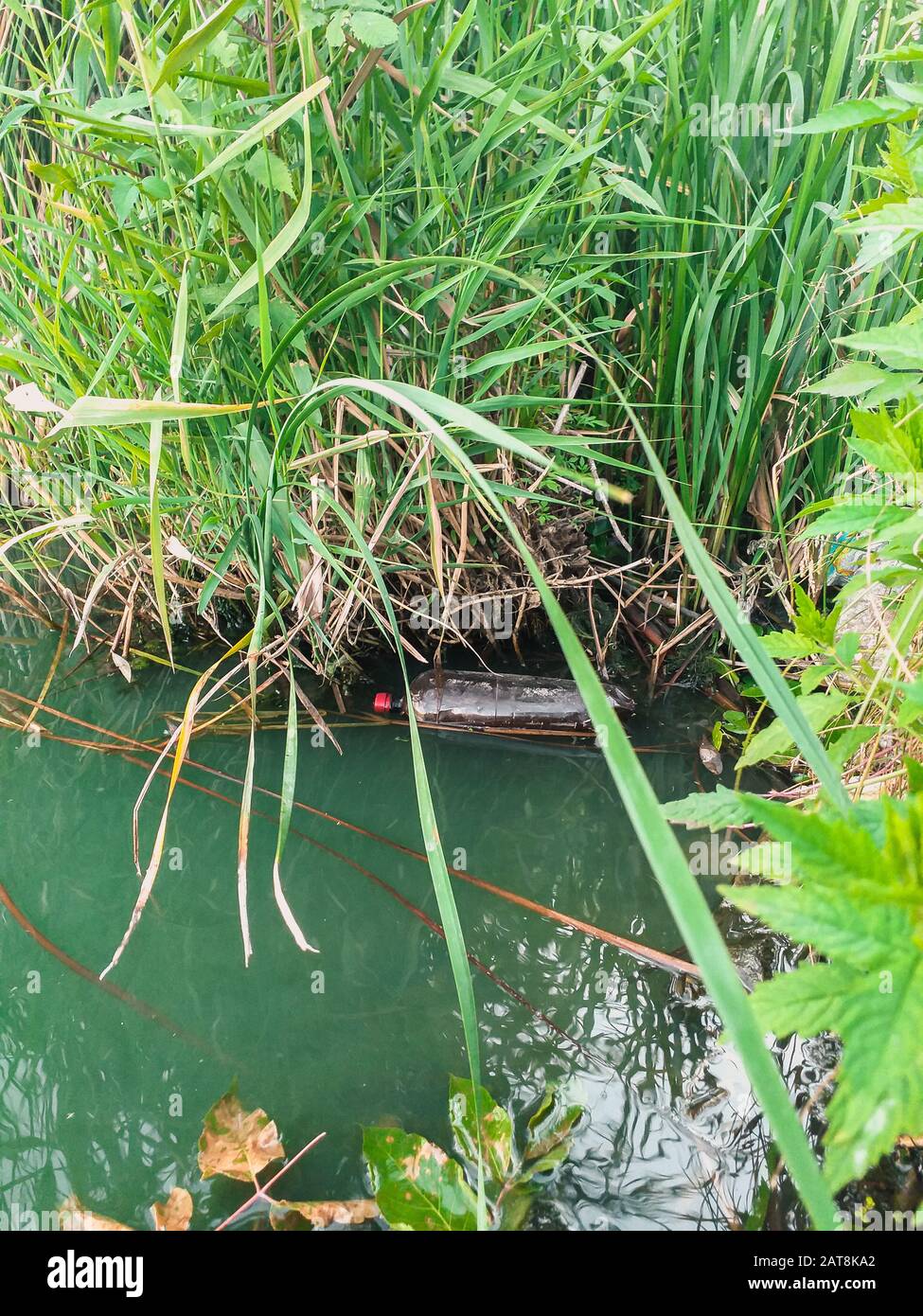plastic bottle in the pond. Pollution of the environment and rivers ...