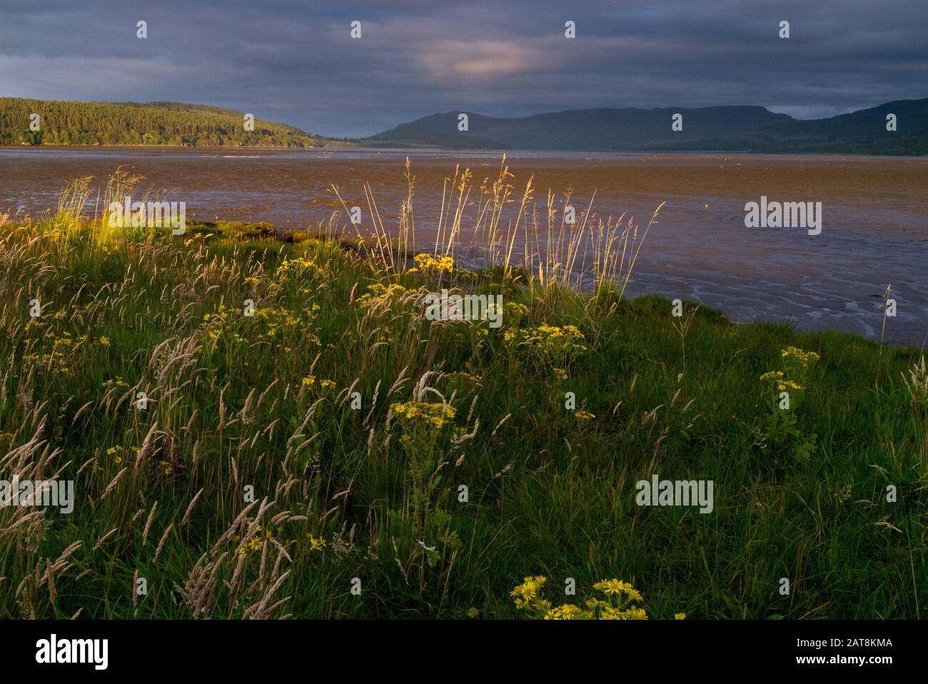 Scottish estuary hi-res stock photography and images - Alamy