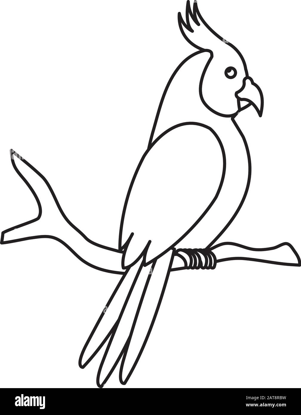 parrot bird in tree branch isolated icon Stock Vector Image & Art - Alamy