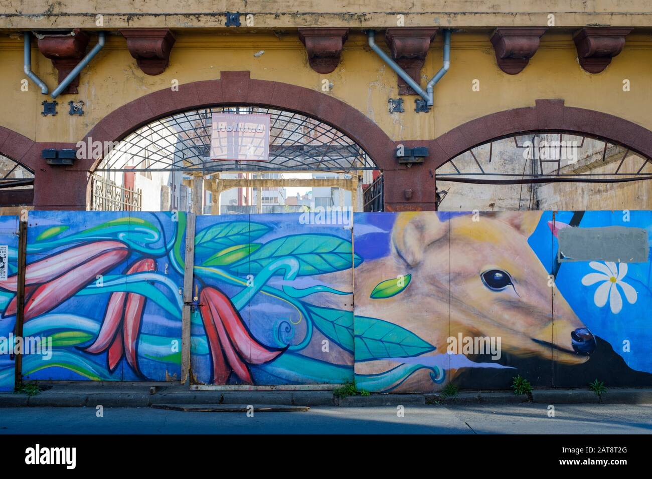 Southern Pudu (Pudu puda) painted on a wall. Temuco. Araucania region ...