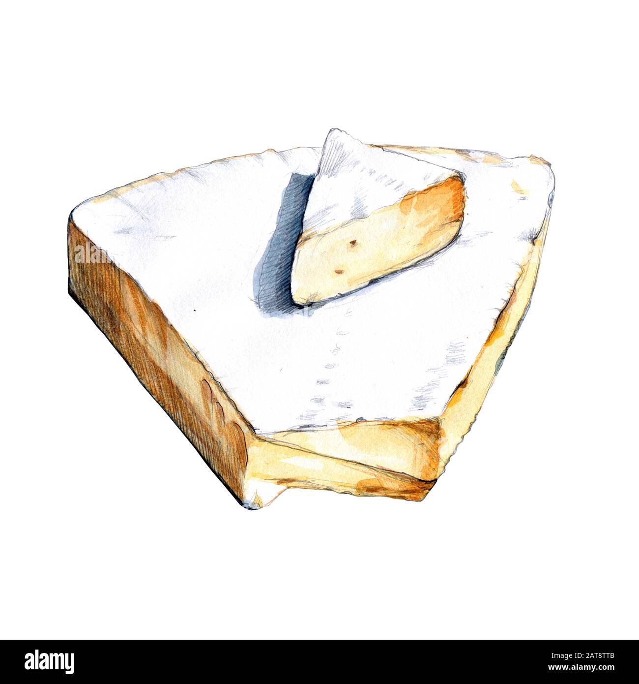 Brie watercolor illustration on white background Stock Photo - Alamy