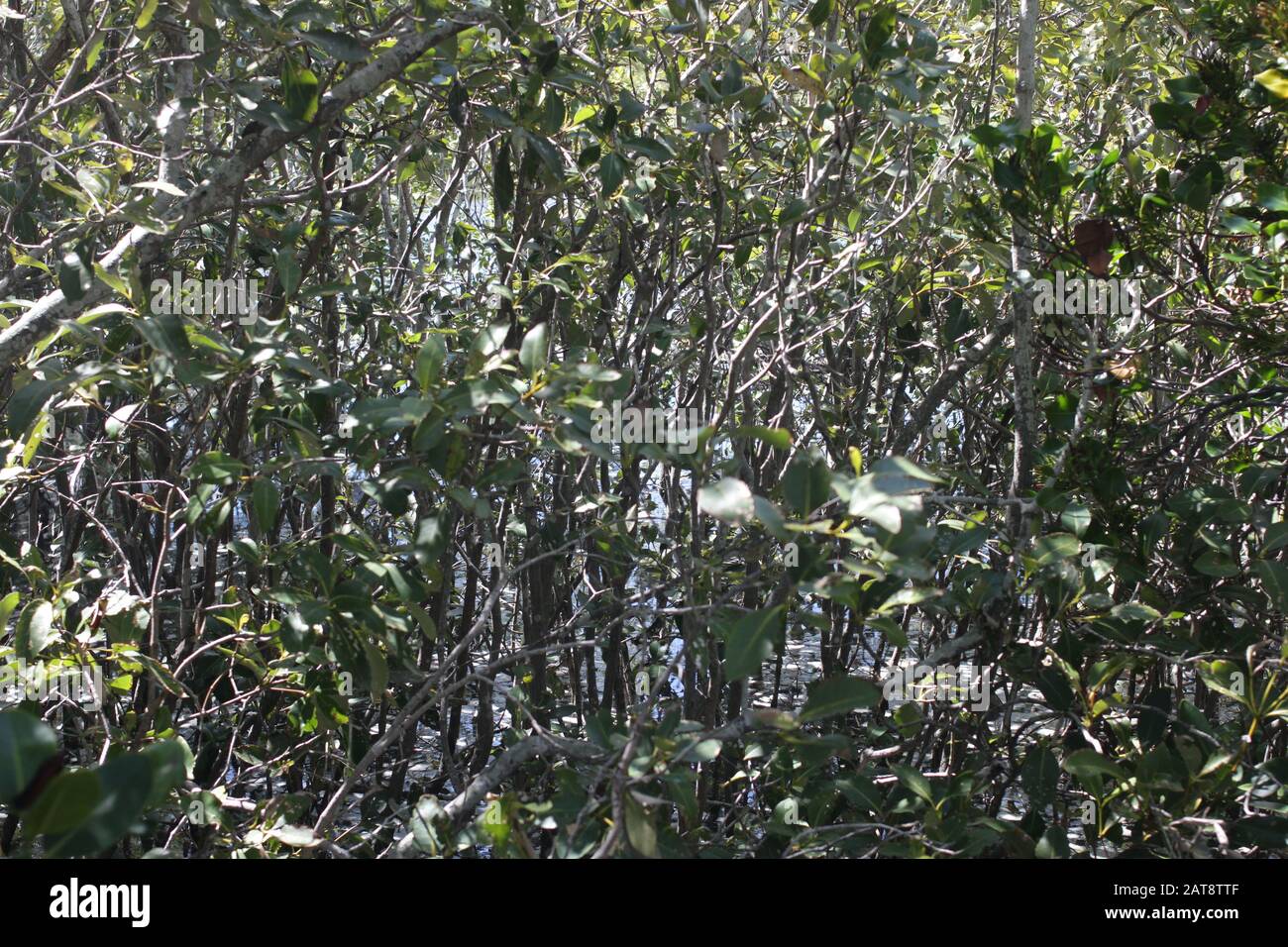 Mon repos australia hi-res stock photography and images - Alamy