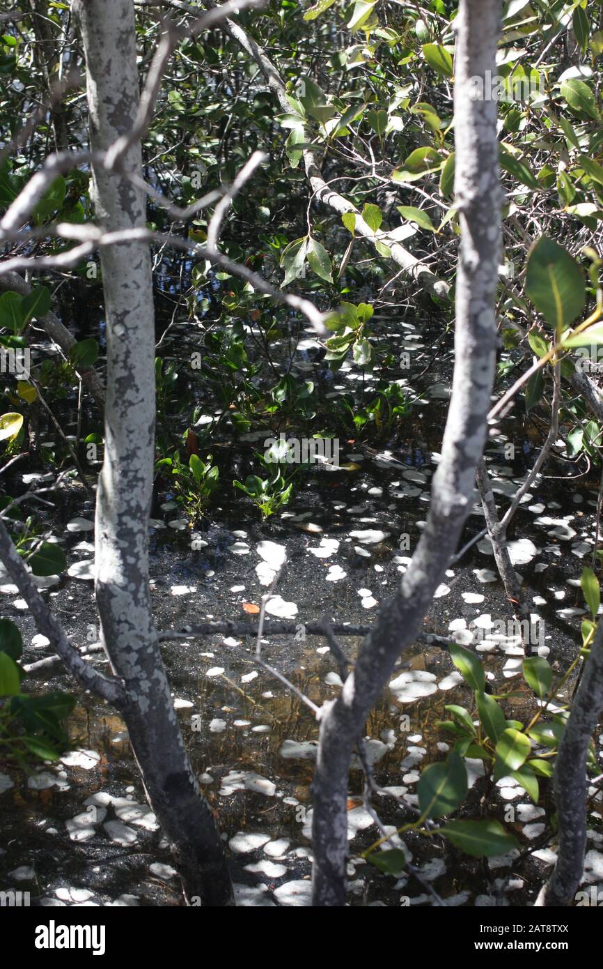 Mon repos australia hi-res stock photography and images - Alamy