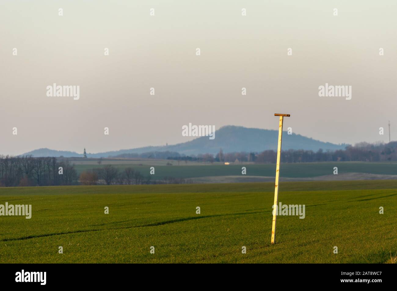 Species of bird of prey hi-res stock photography and images - Alamy