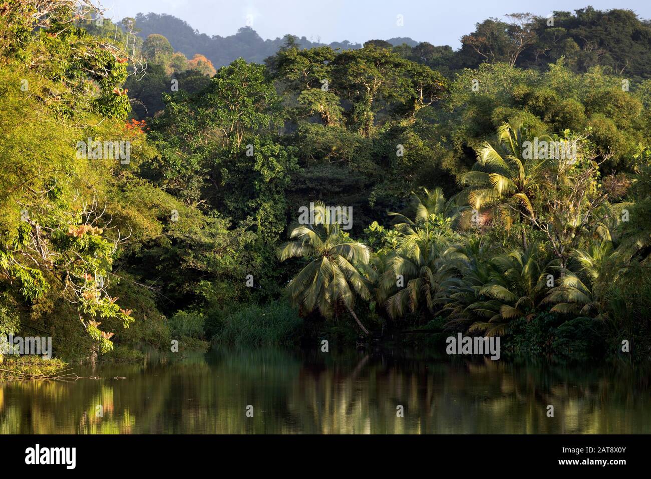 Trinidad and tobago river hi-res stock photography and images - Alamy