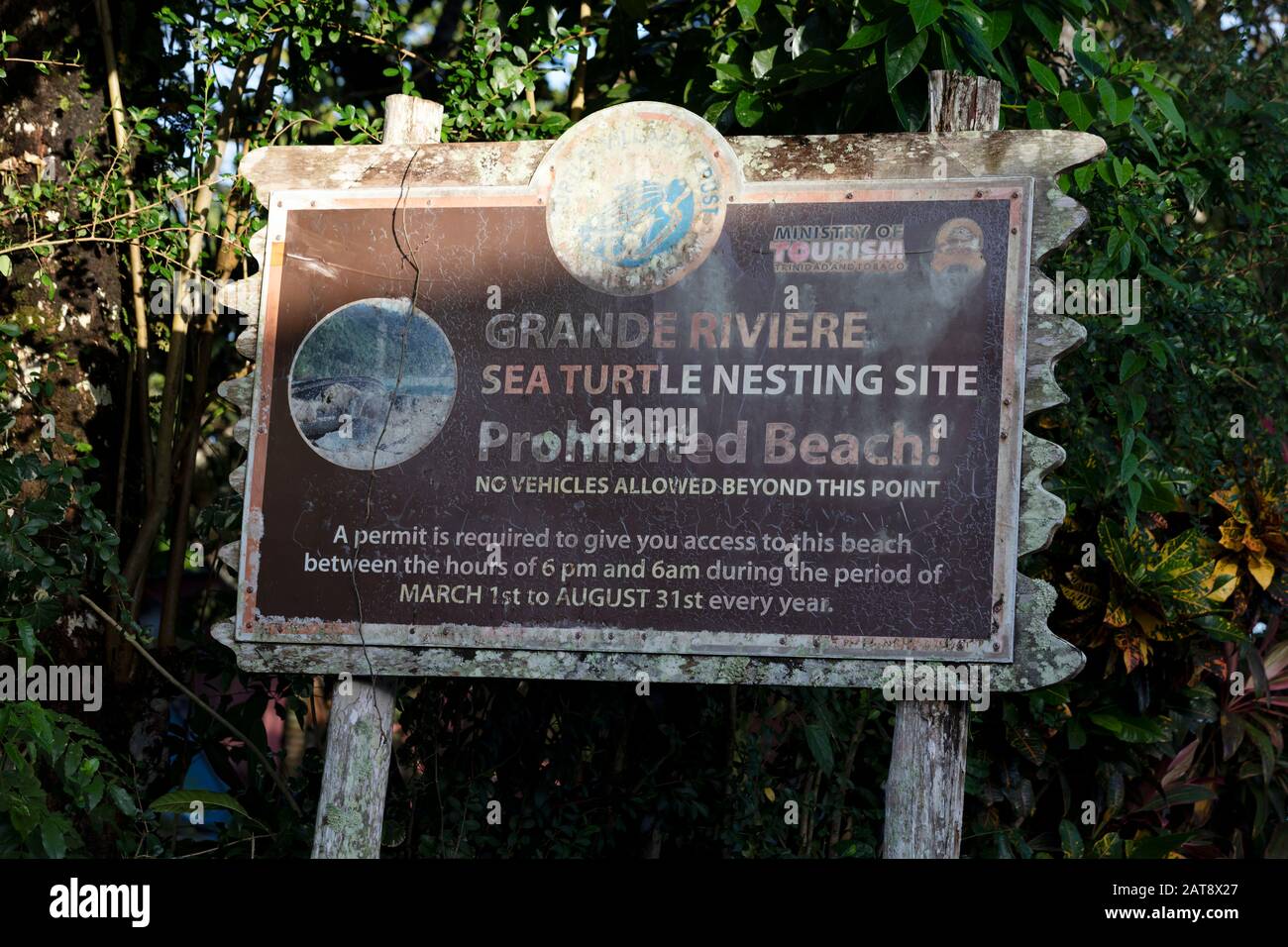 Turtle nesting beach, Grand Riviere, Trinidad & Tobago Stock Photo - Alamy