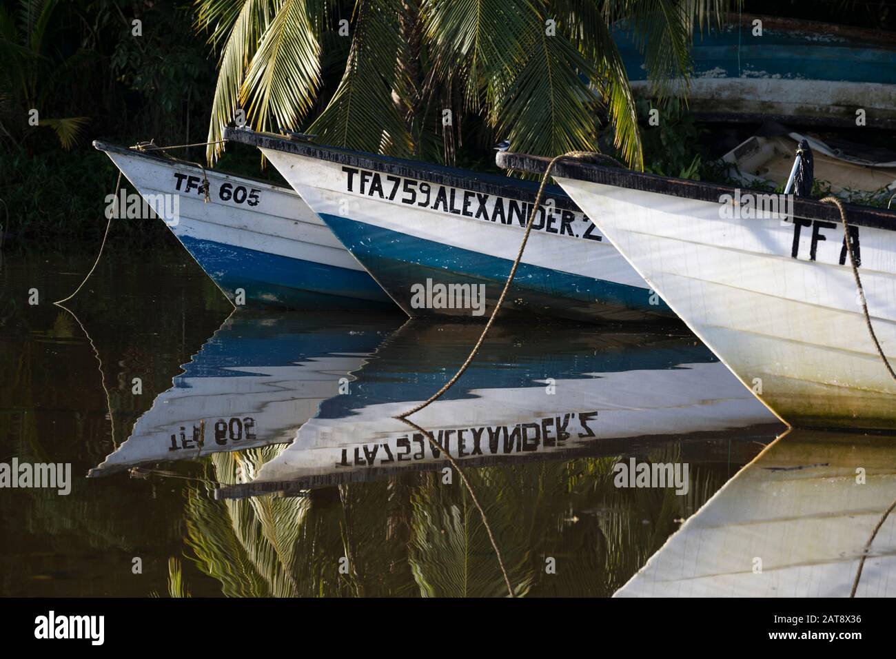 Pirogues, small wooden fishing boats, Grand Riviere on the northeast ...