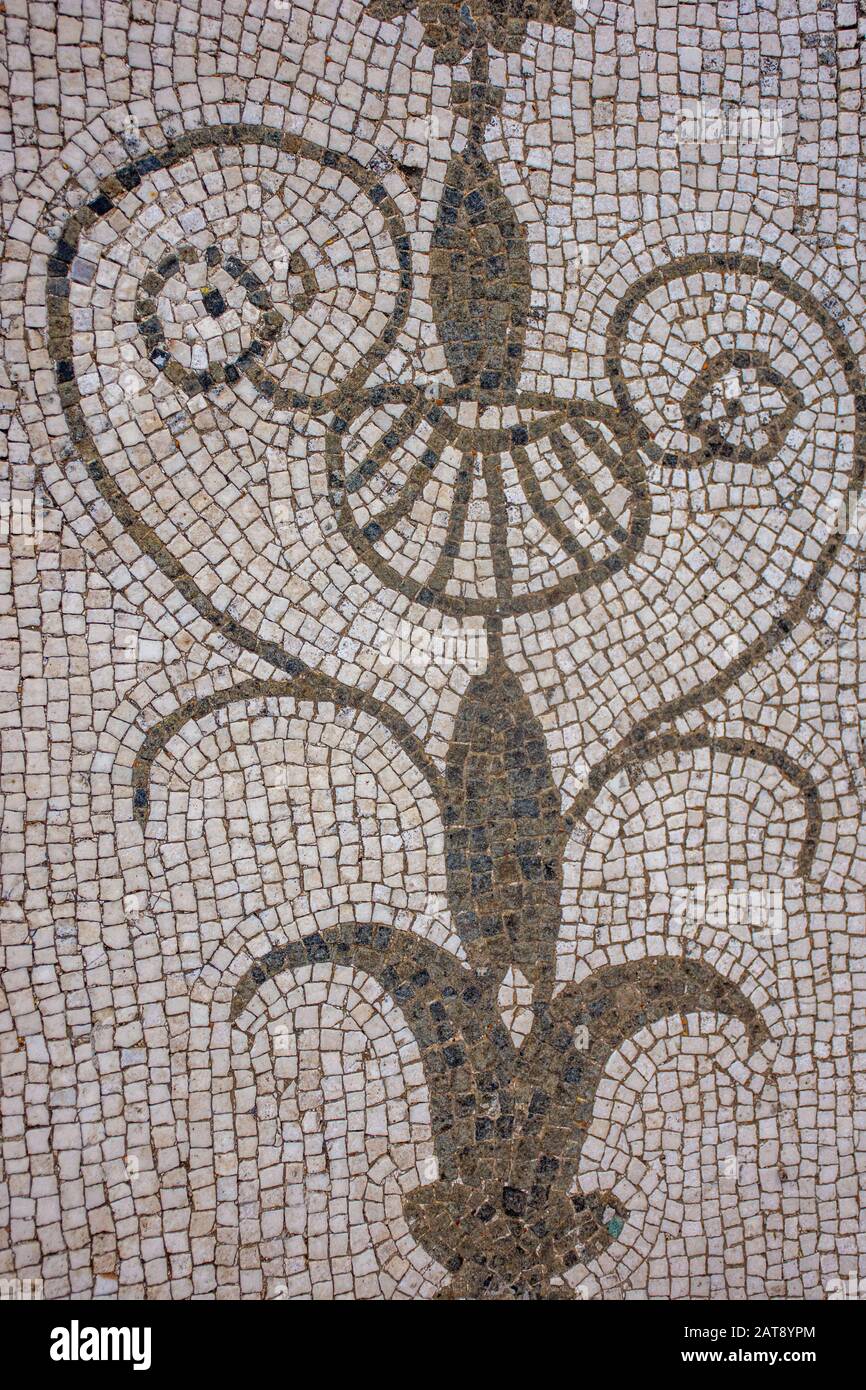 Pompeii mosaic bird hi-res stock photography and images - Alamy
