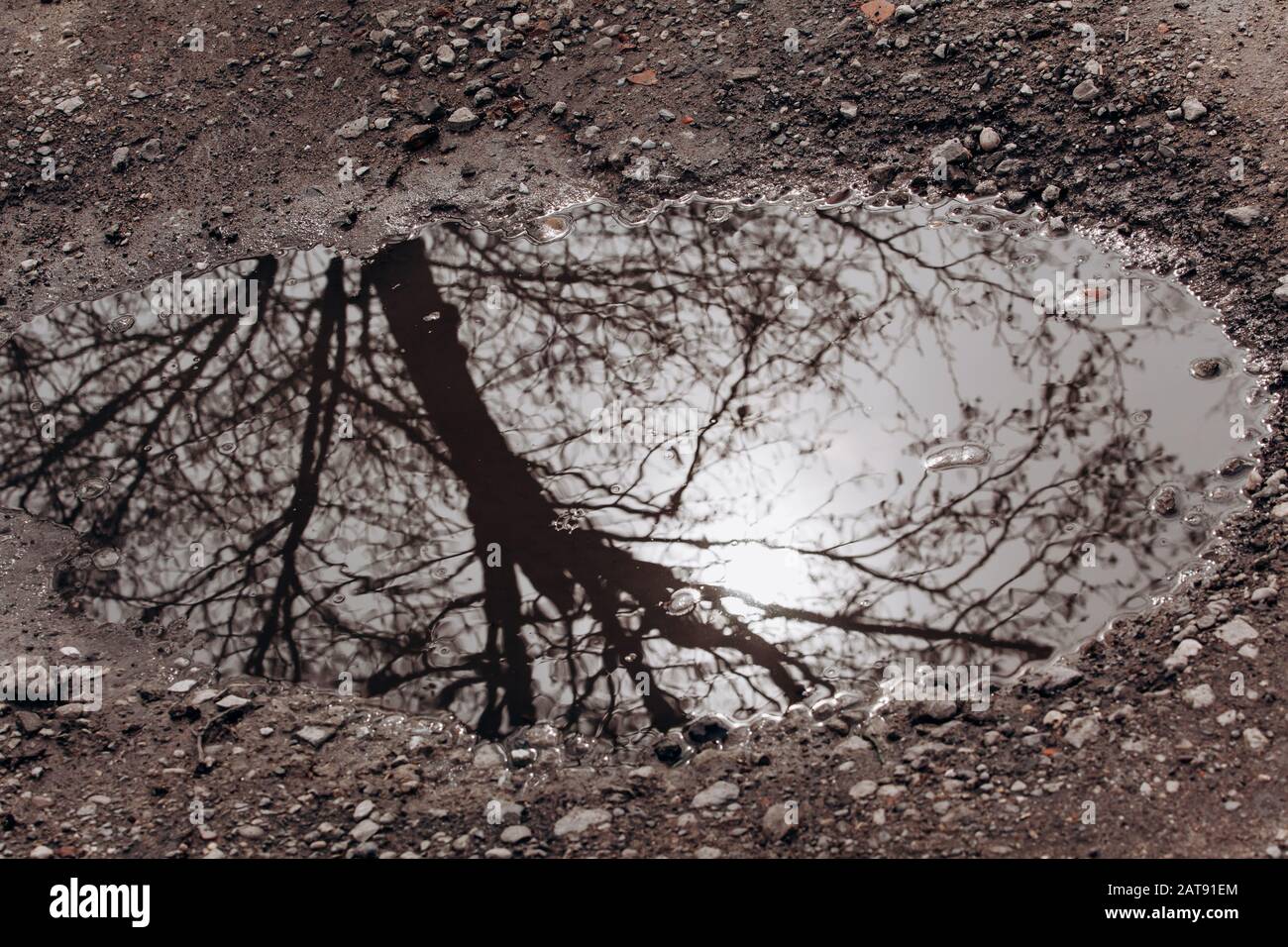 Big pothole filled with water, tree and clouds reflection Stock Photo ...