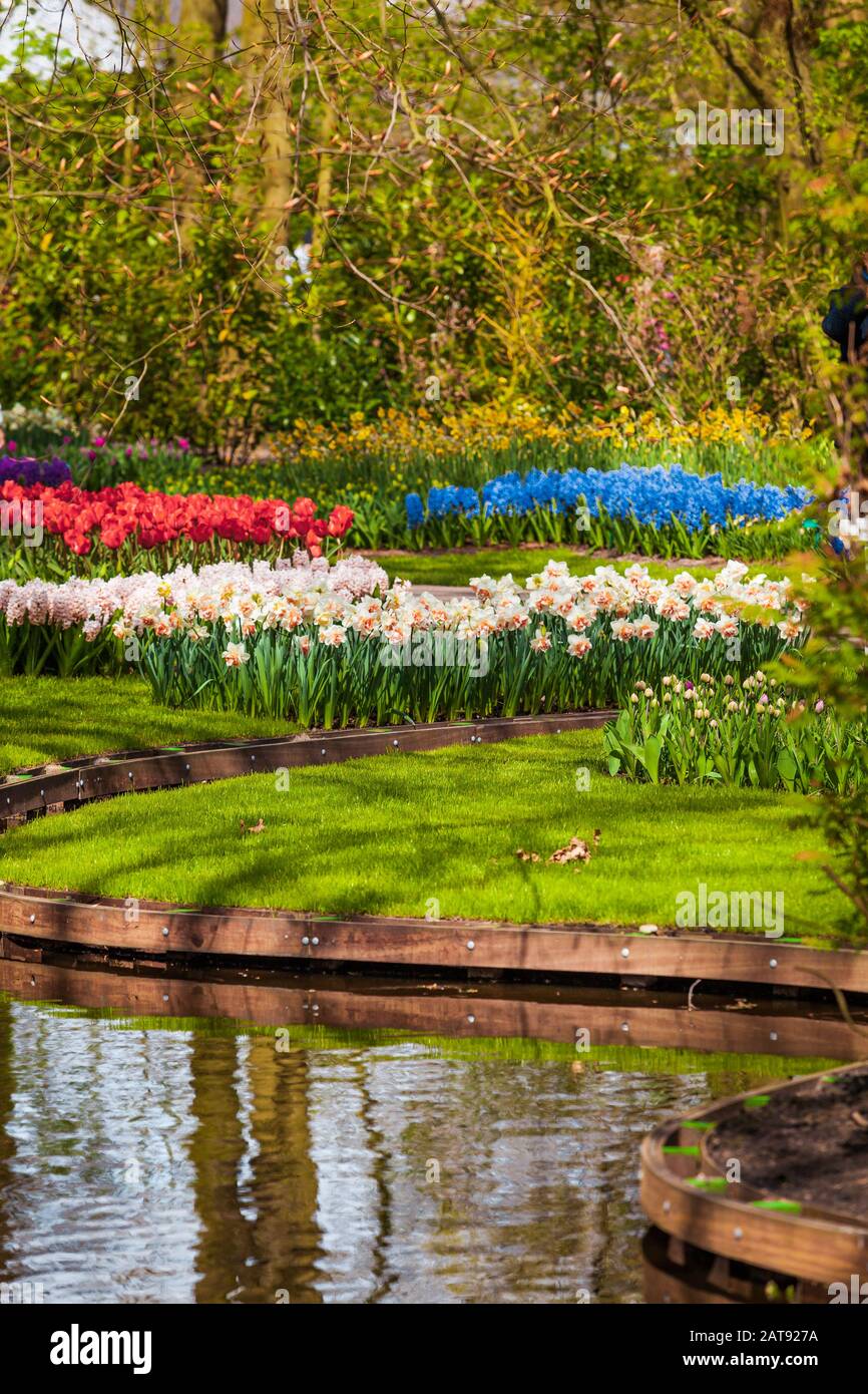 Spring Background. Spring Flowers. Beauty natural background Stock ...