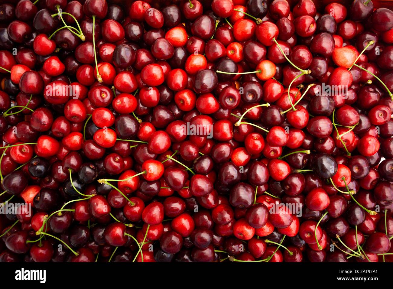 Cherry. Fresh organic berries. Fruit background Stock Photo - Alamy
