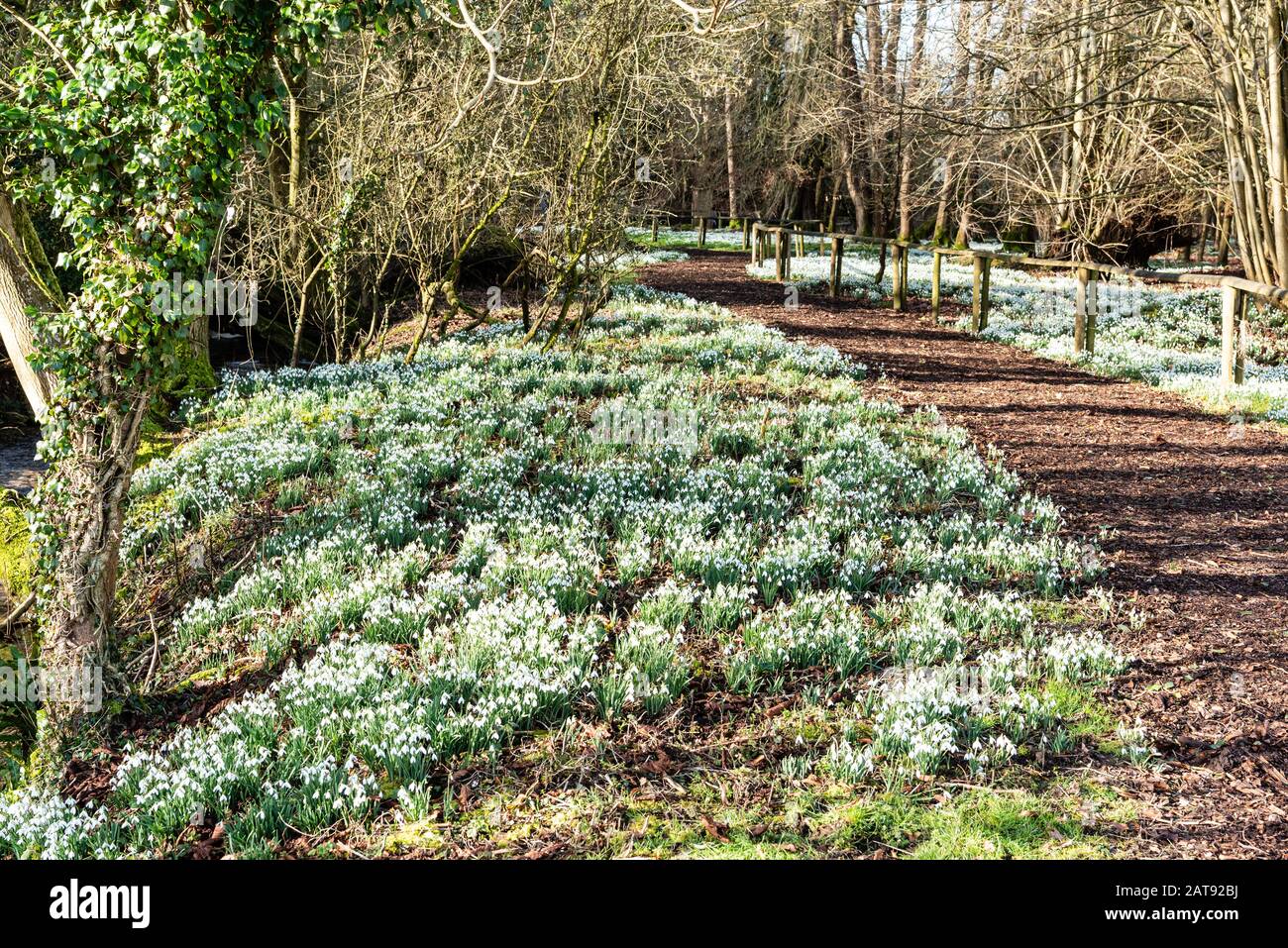 James Puxley High Resolution Stock Photography and Images - Alamy