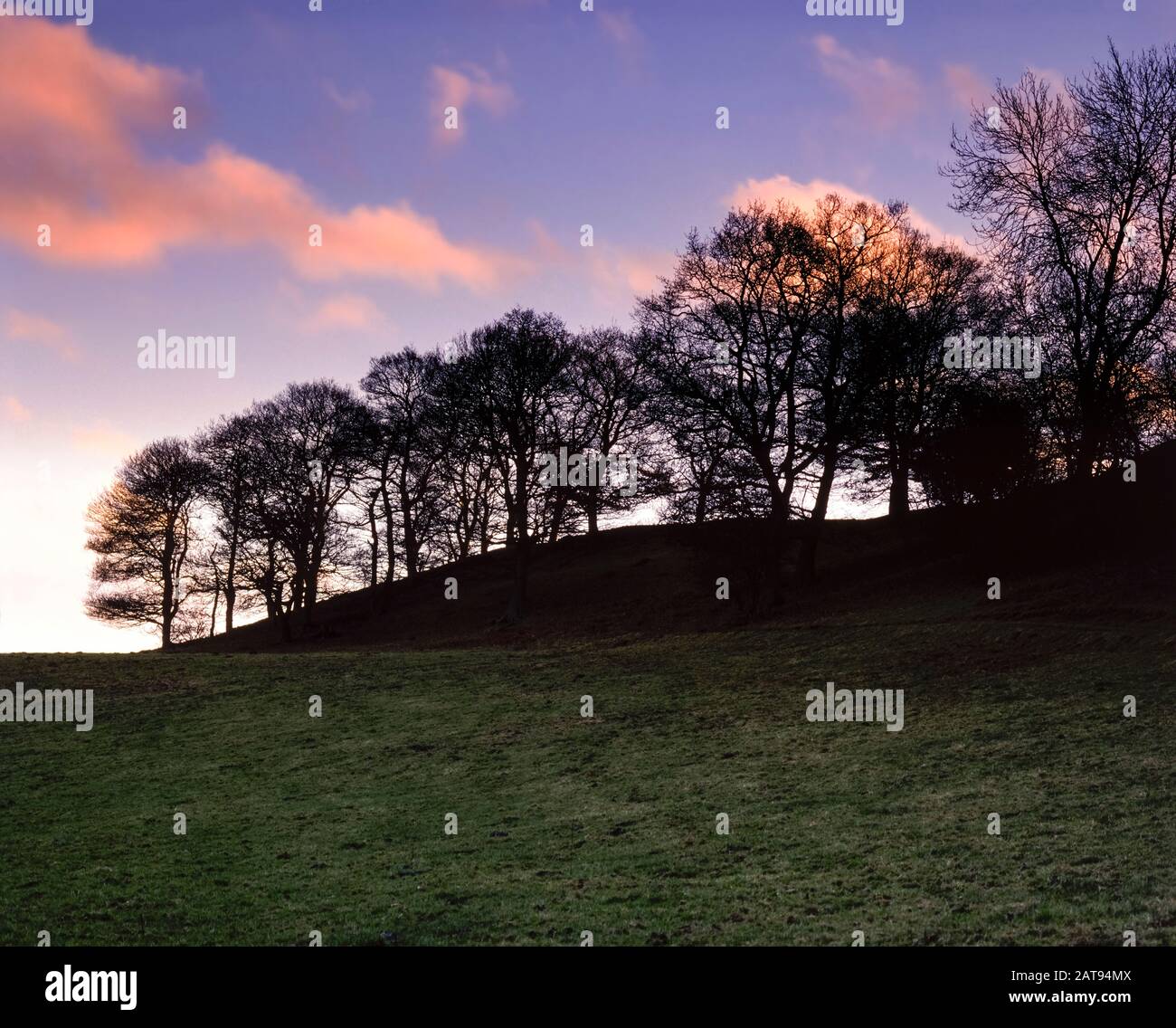 The Long Mynd is a part of the Shropshire Hills. Emerging suddenly and ...