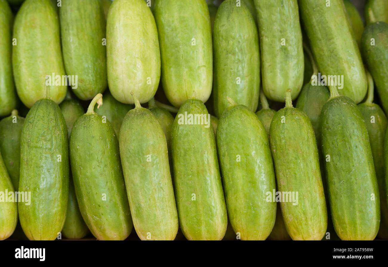 green miniature cucumbers lie in a row Stock Photo - Alamy