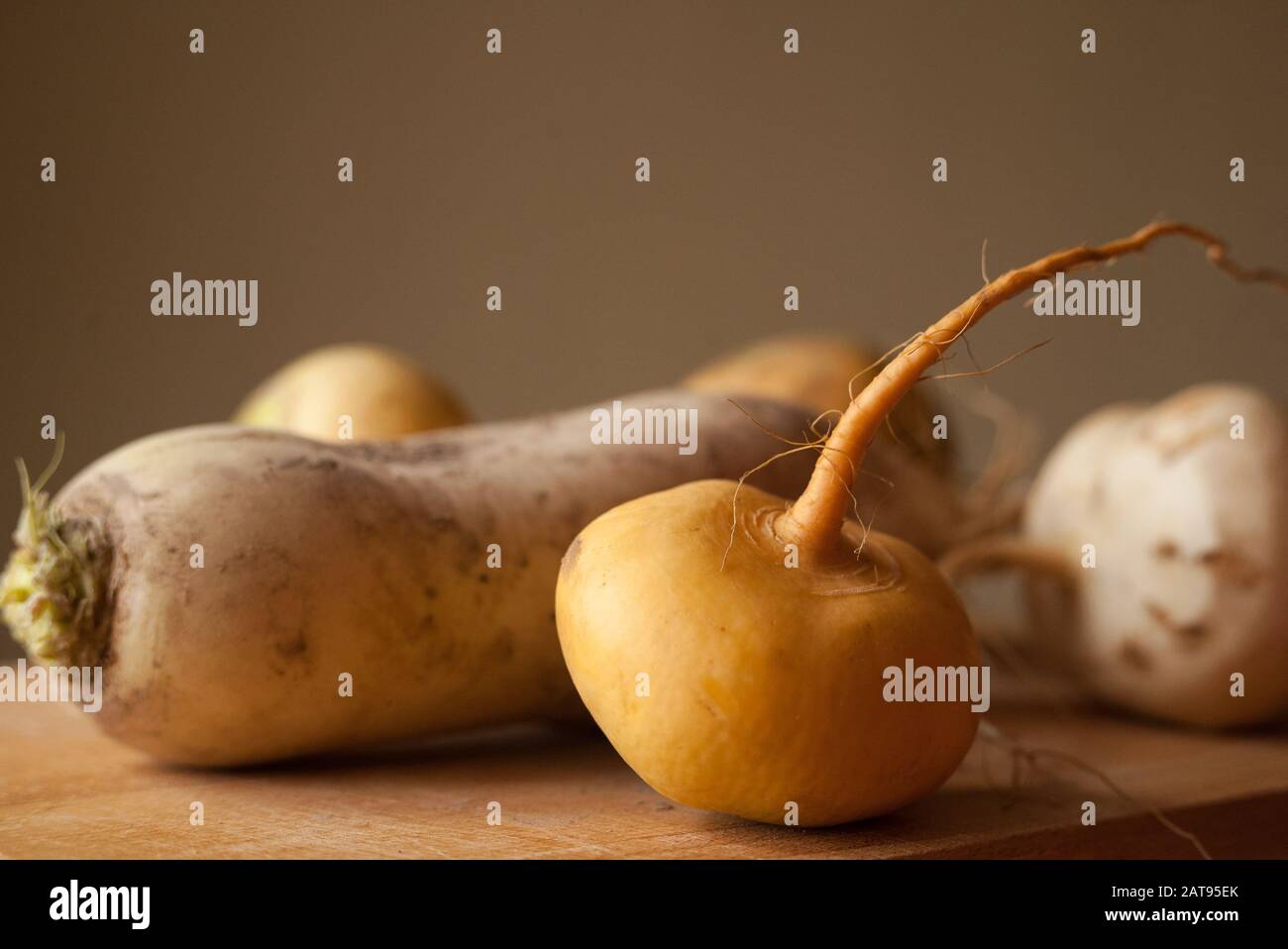 multi-colored root vegetables of different varieties lie on a wooden ...
