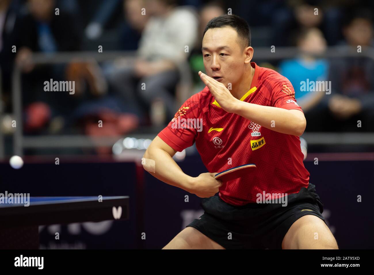 Magdeburg, Germany. 31st Jan, 2020. Table tennis: German Open, men's ...