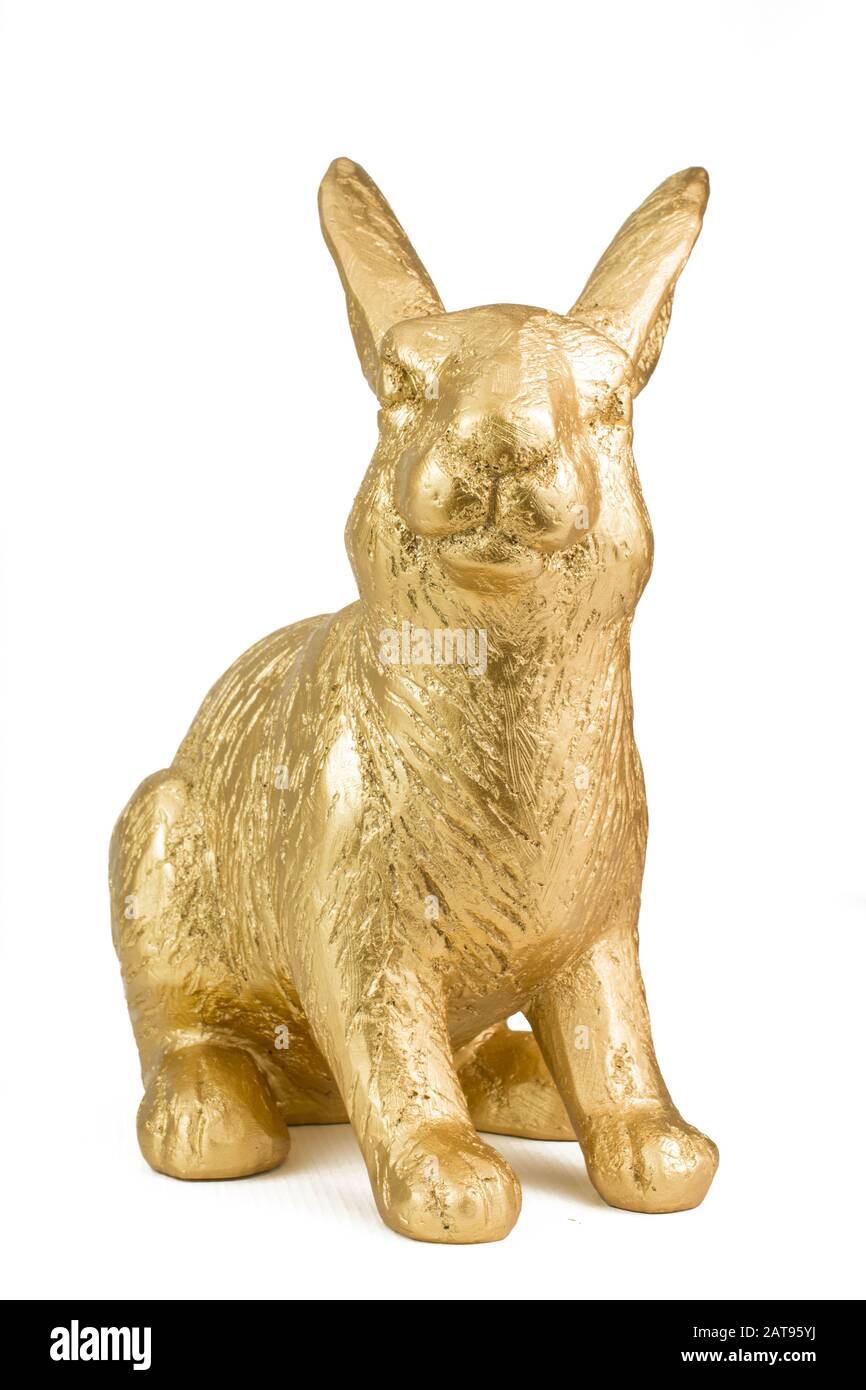 gold bunny rabbit on white background Stock Photo - Alamy