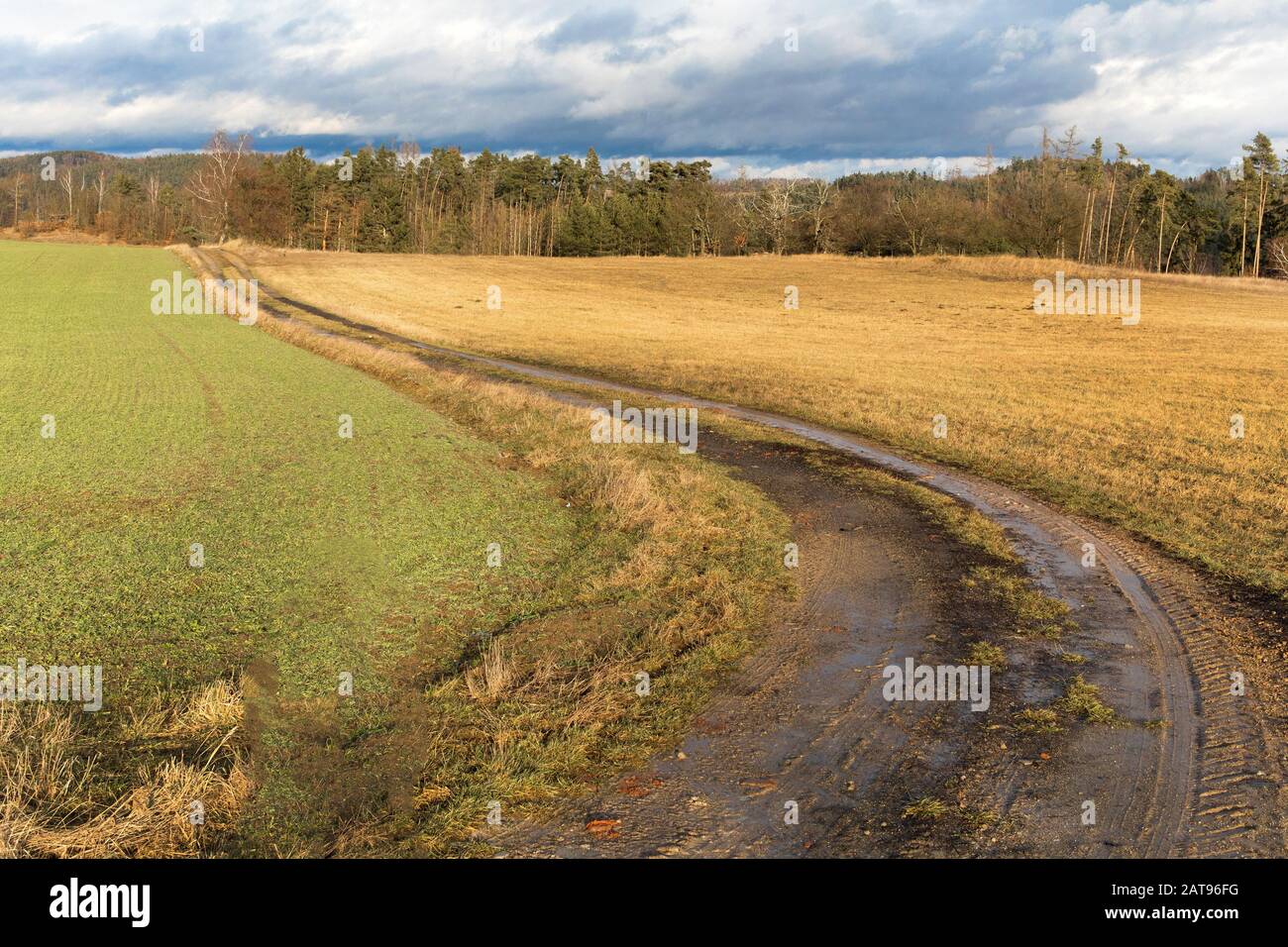 A muddy dirt road in the countryside in the Czech Republic. Dramatic ...
