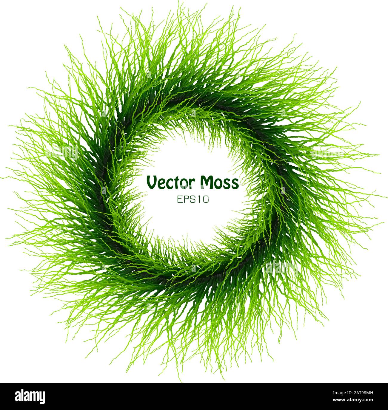 Vector Moss Wreath - Round Isolated Herbal Grass Frame - Meadow Green ...