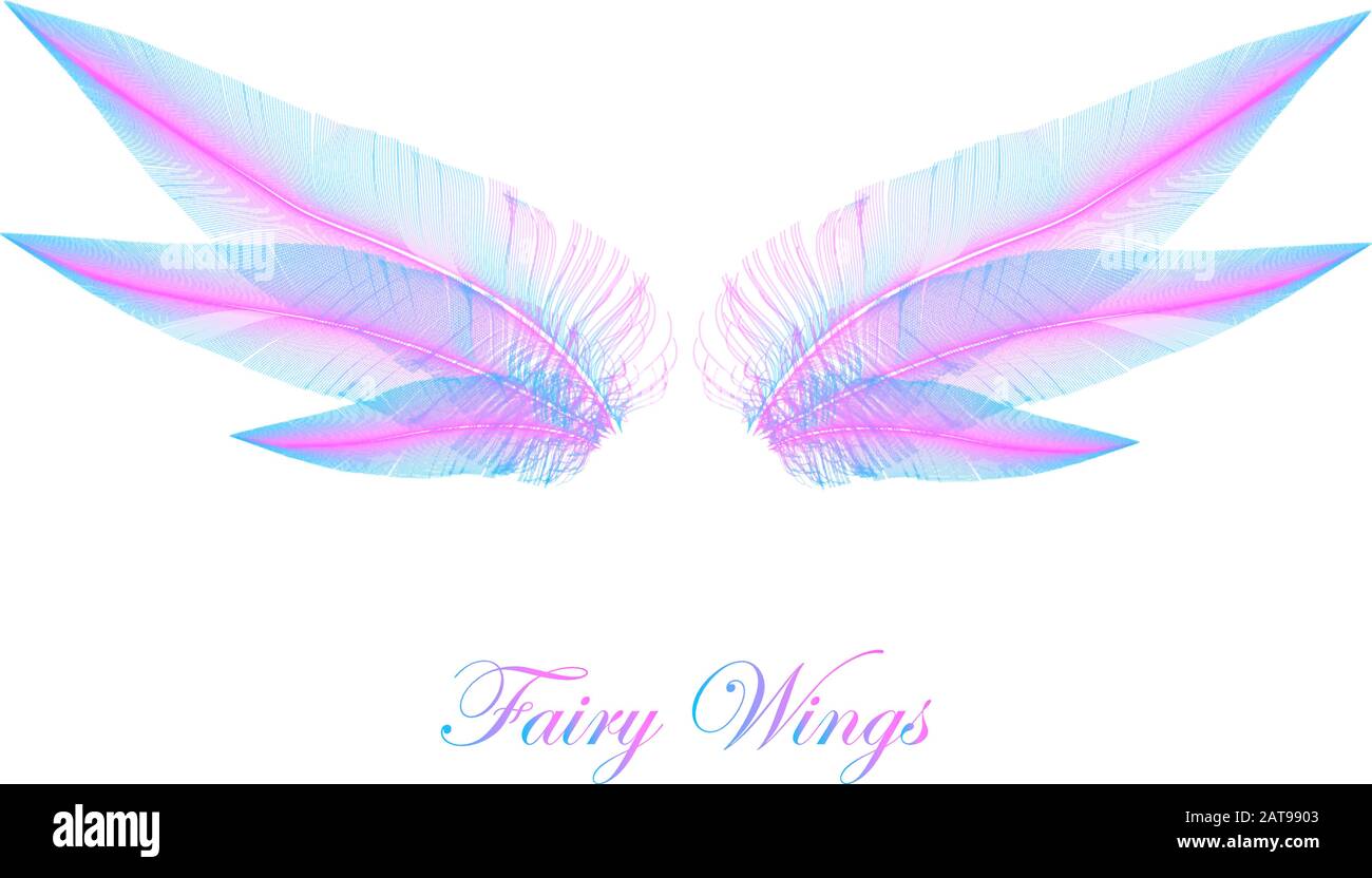 Pink and Blue Wings - Magic Elfin Wings - Concept Vector Design ...