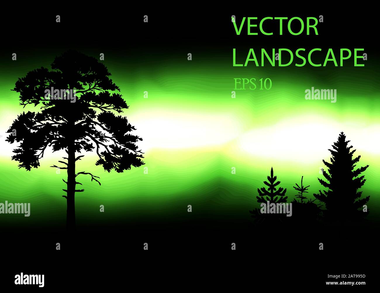 Beautiful Vector Afterglow Taiga Landscape - View with Black Silhouette ...