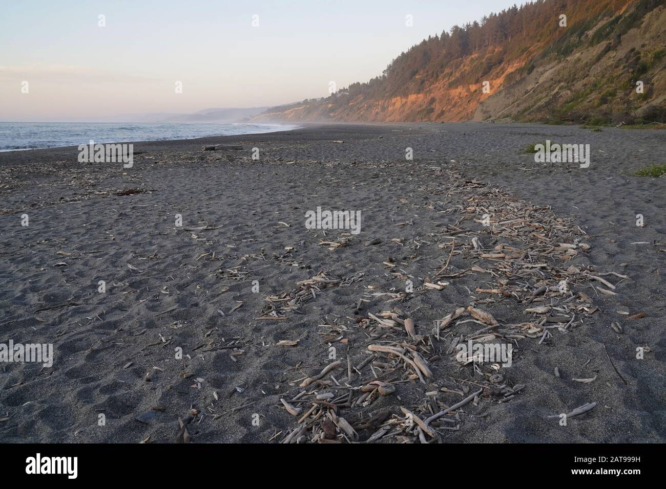 Patricks point state park agate beach hi-res stock photography and ...