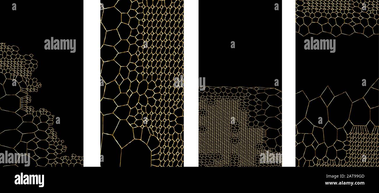 Set of Voronoi Diagram Patterns Textures - Gold and Black Background Stock Vector Image & Art ...
