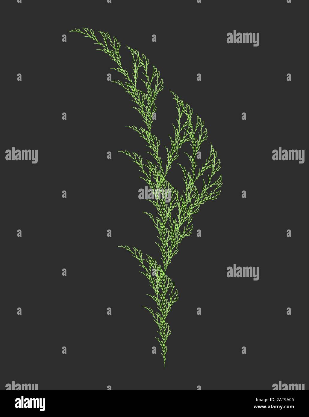 Vector Weed Recursion Design - Plant Like L-system Mathematical Model ...