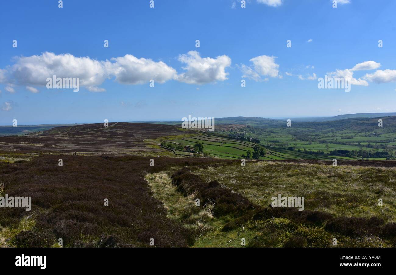 Moorland and boggs in the stunning Northern Yorkshire England Stock ...