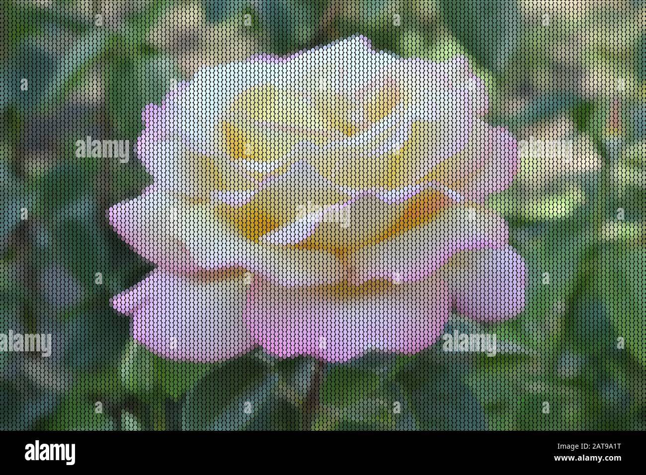 Gloria bloom Stock Vector Images - Alamy