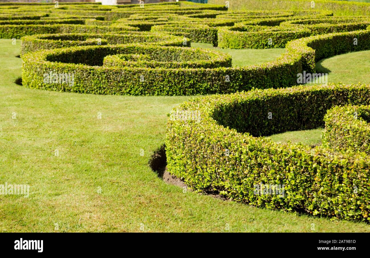 Parterre and Topiary Gardens. Hedge Planted and Trimmed into Labyrinth ...