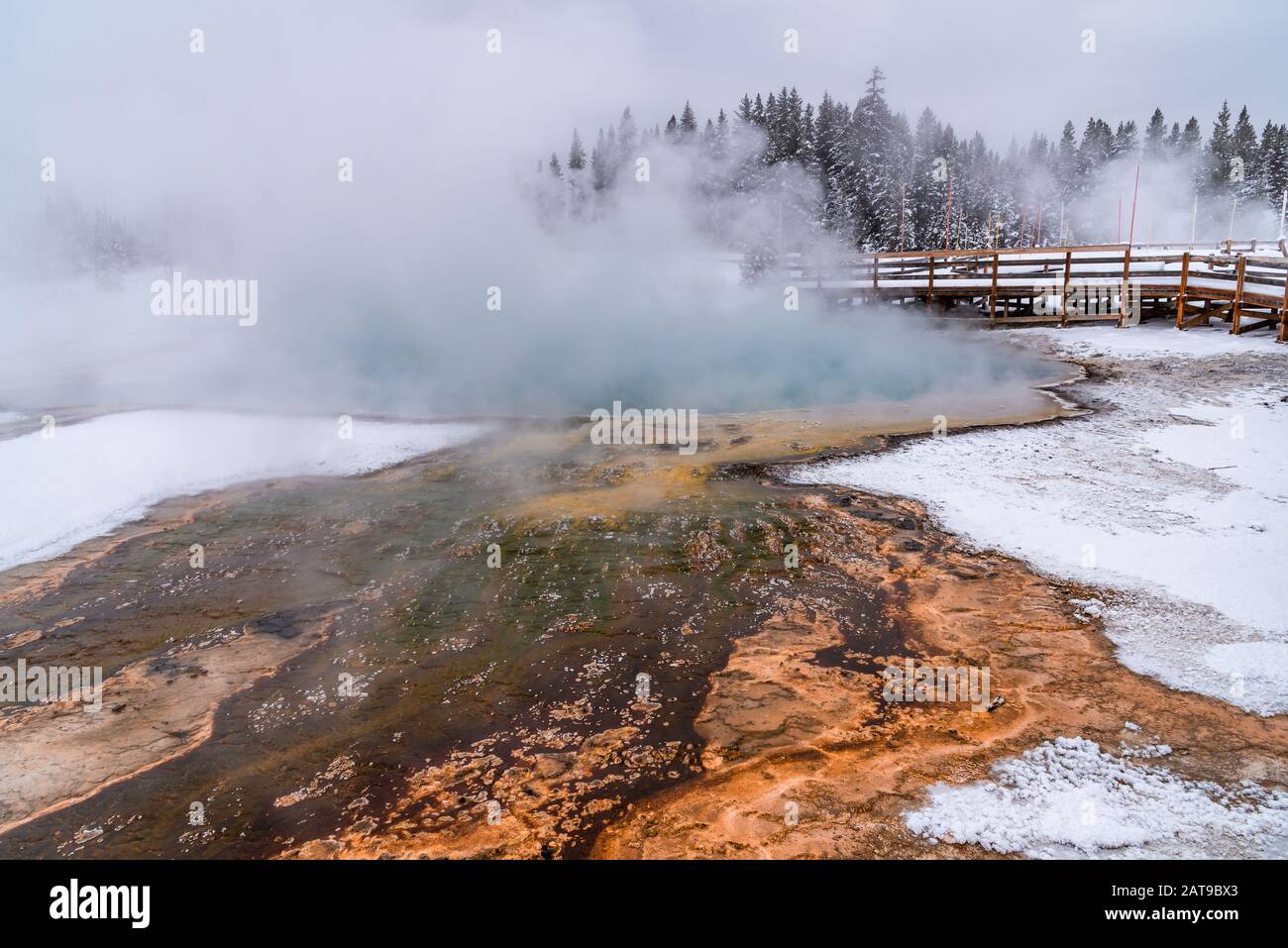 Bacteria stained a hot spring runoff in vivid colors. Yellowstone ...