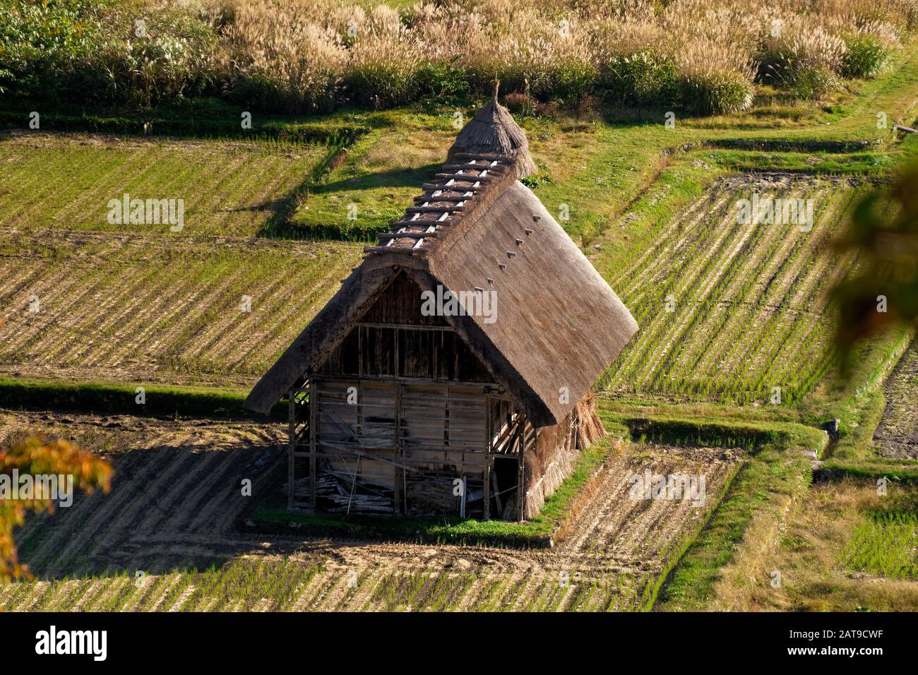 Traditional thatched roofed gassho-zukuri farmhouse in Shirakawa-go ...