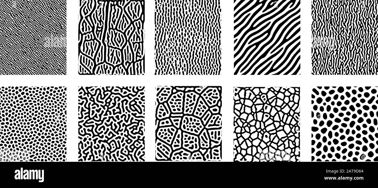 Vector Reaction-Diffusion Set - Mathematical Biology Turing Patterns ...