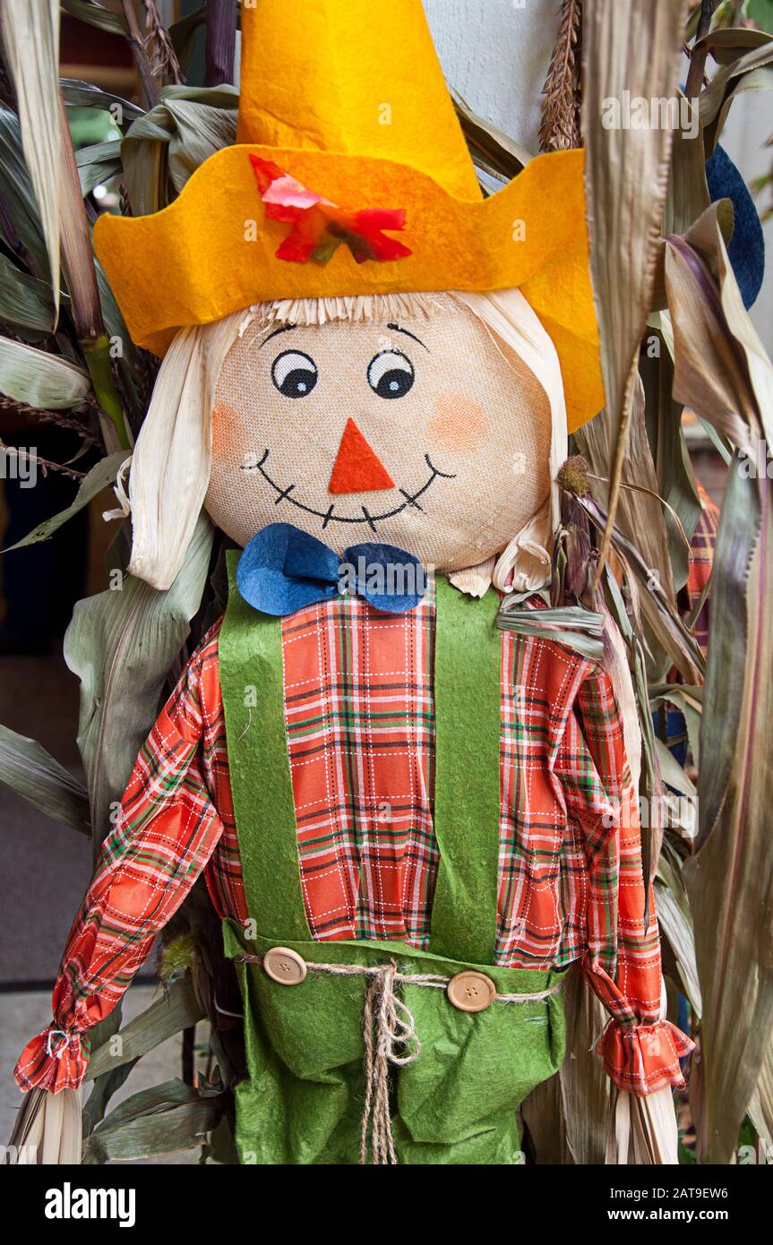 Scarecrow face hi-res stock photography and images - Alamy