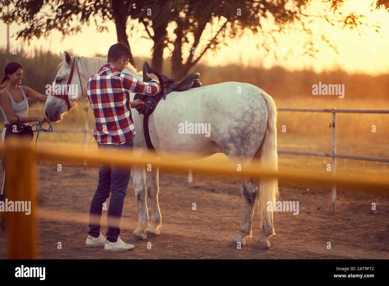 Young man mounting a saddle on the horse while young woman holds the ...