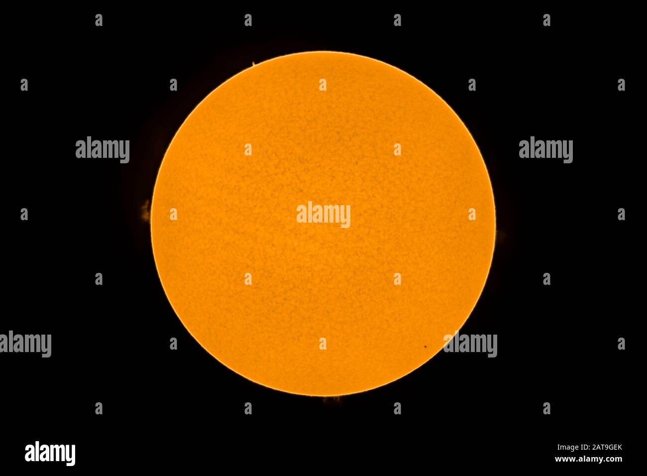 Nml Cygni Compared To Solar System
