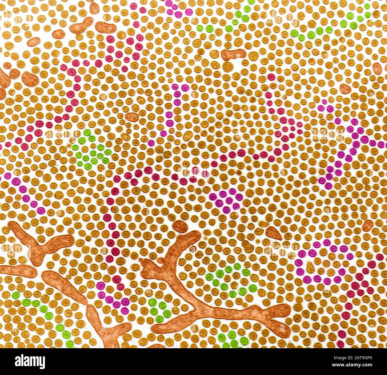 Cilia tem intestinal cell hi-res stock photography and images - Alamy