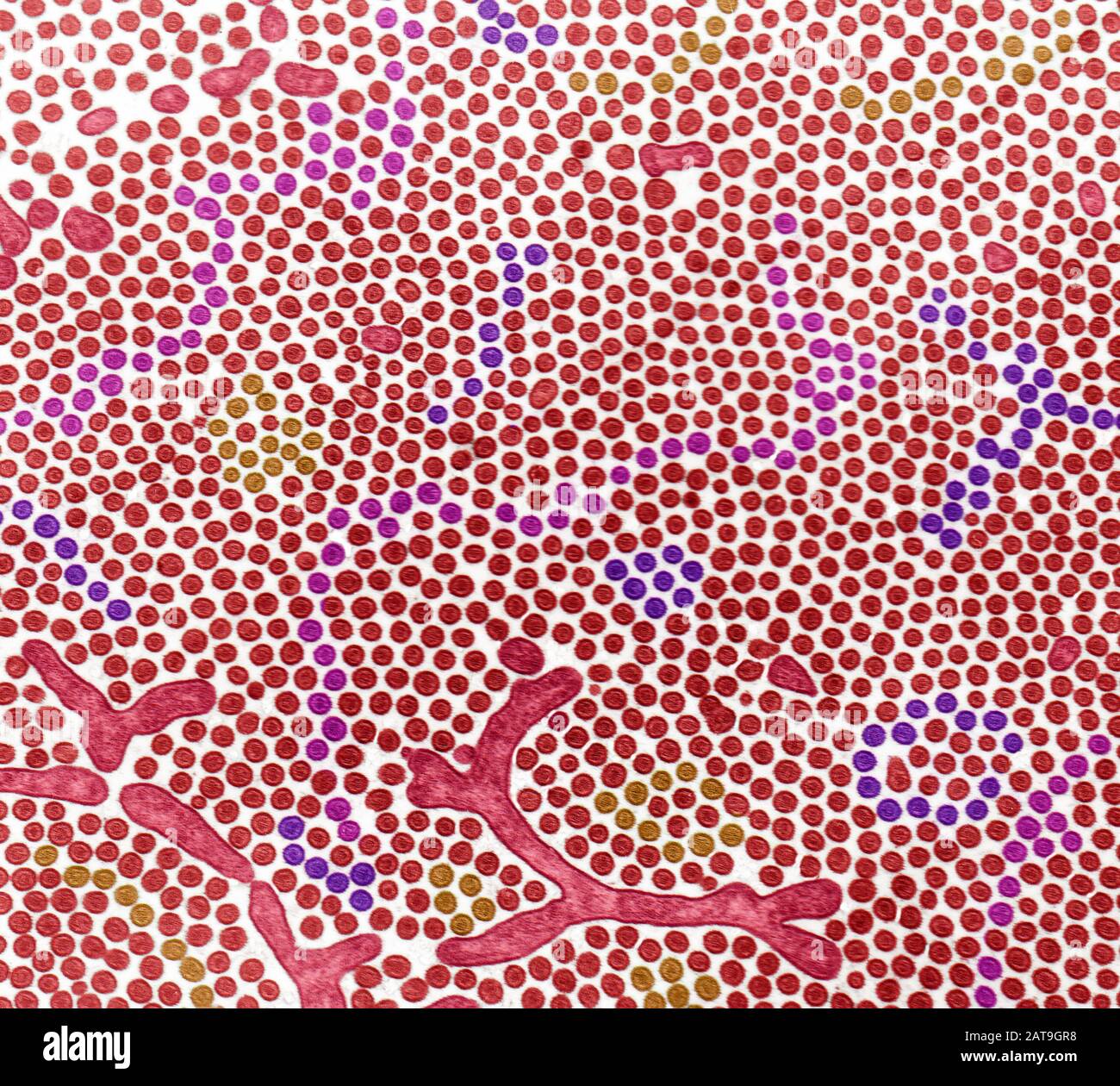 Intestinal brush border, TEM Stock Photo - Alamy