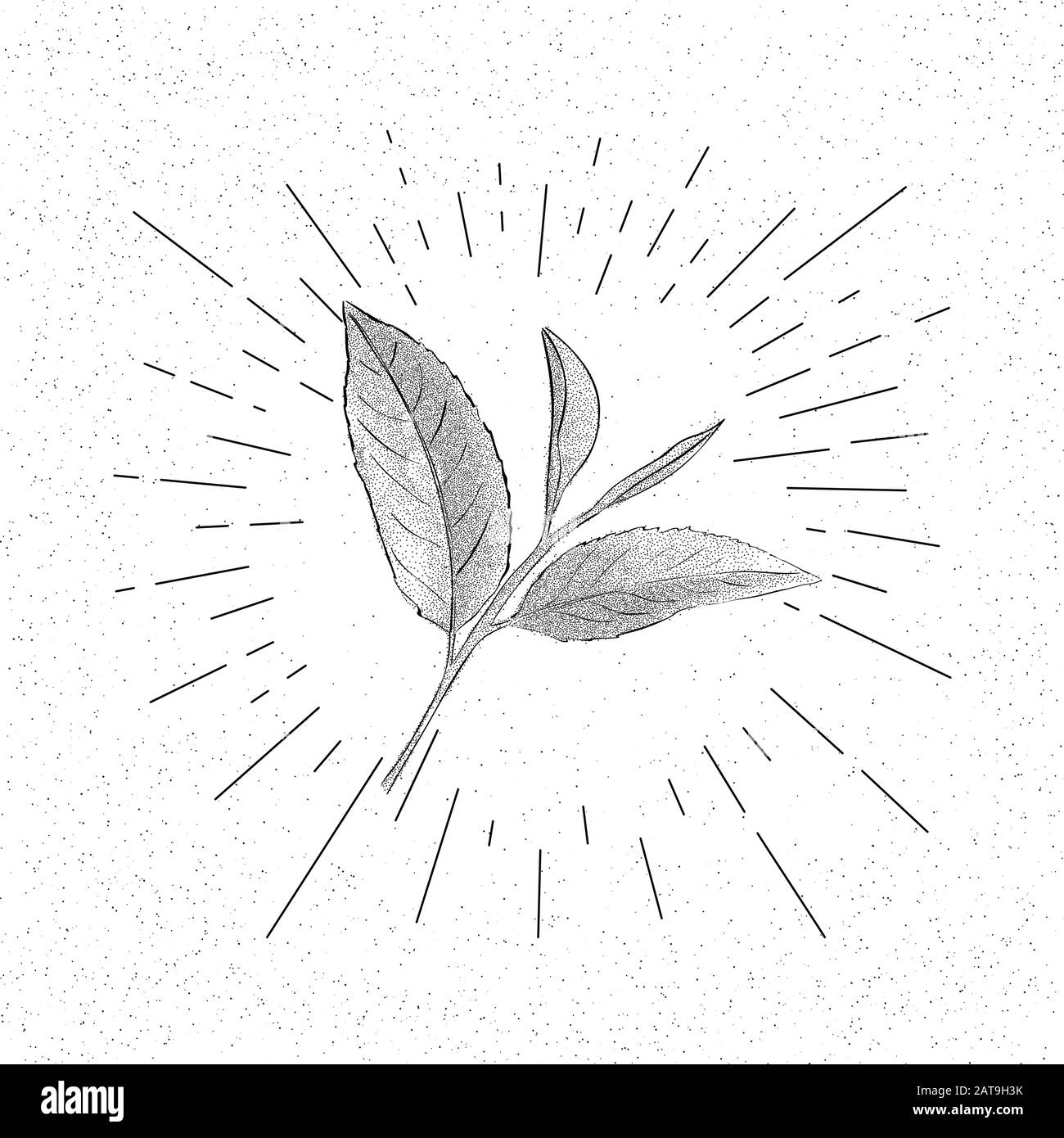 Symbol of Life - Icon of New Sprout Concept - Vector Illustration Stock ...