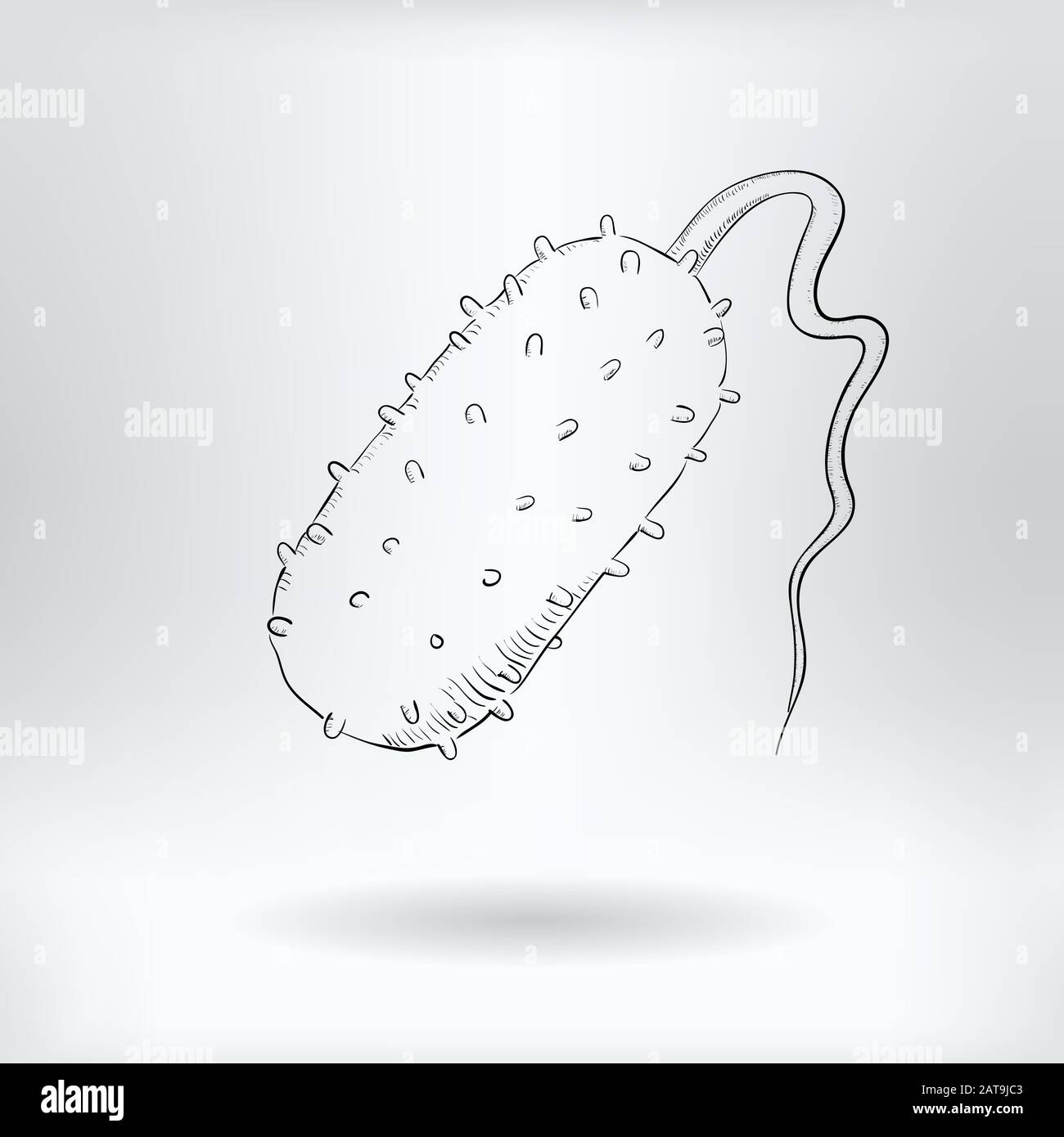 Cartoon Symbol of Flagellate Germ - Science Microorganism Concept ...
