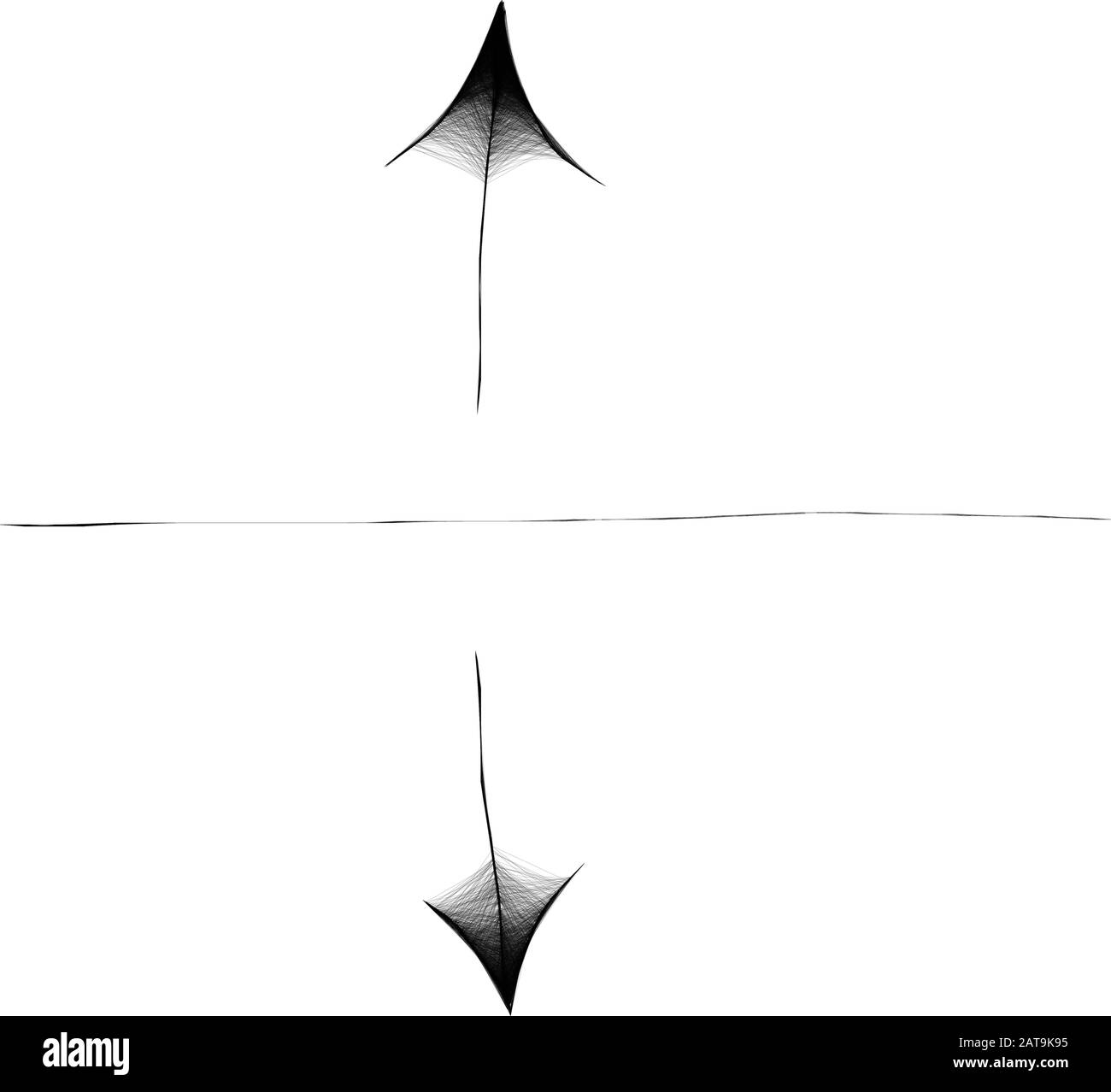 Arachnoid vector vectors hi-res stock photography and images - Alamy