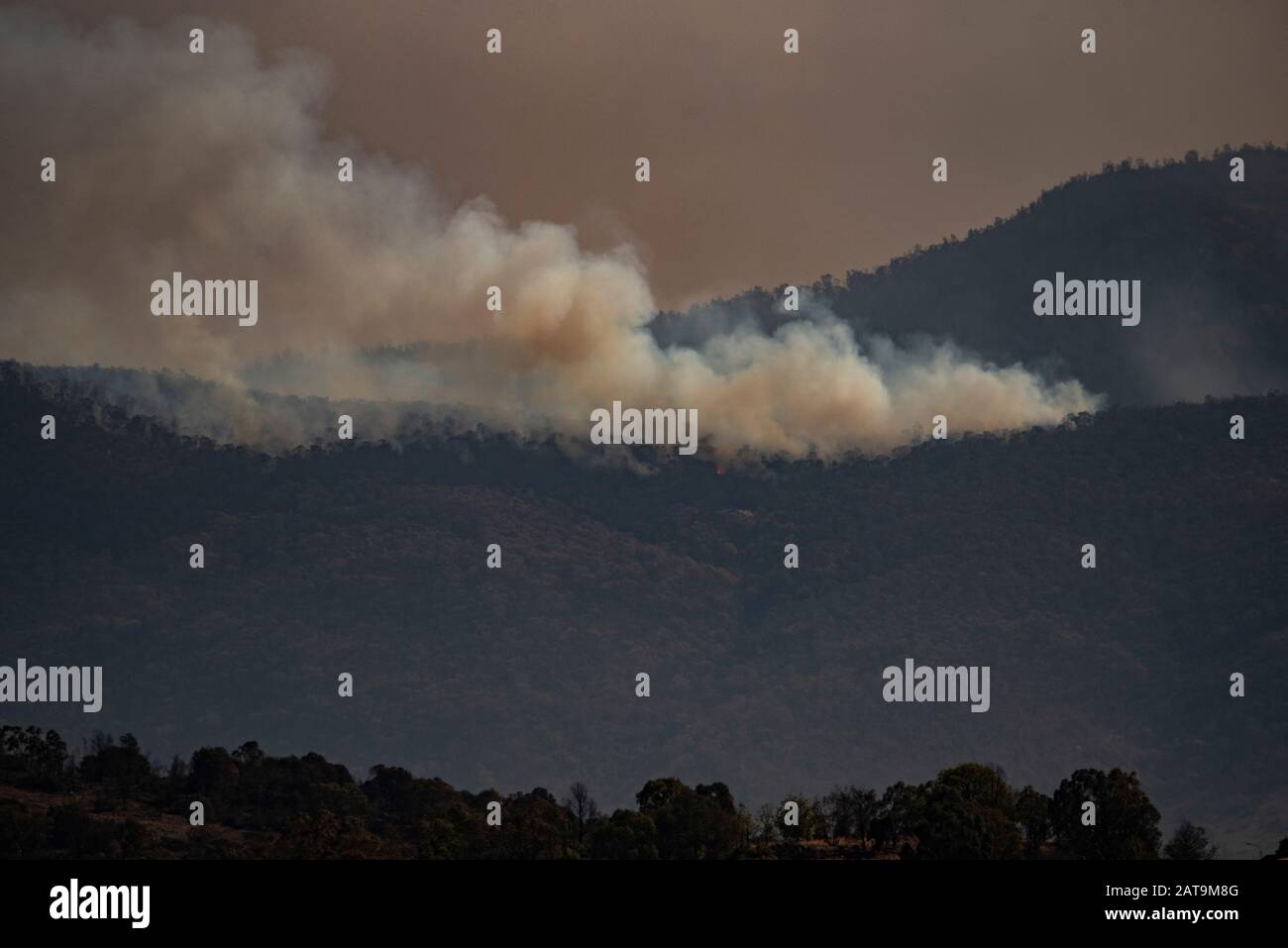 Orroral Valley Bushfire, Canberra, ACT, 31 Jan. 2020. Smoke and flames ...