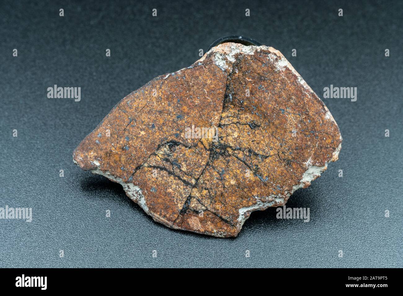 Inside slice of Chondrite Meteorite L Type isolated, piece of rock ...