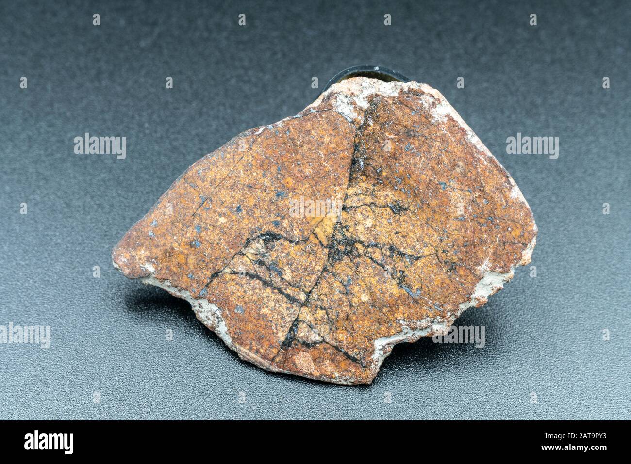 Inside slice of Chondrite Meteorite L Type isolated, piece of rock ...