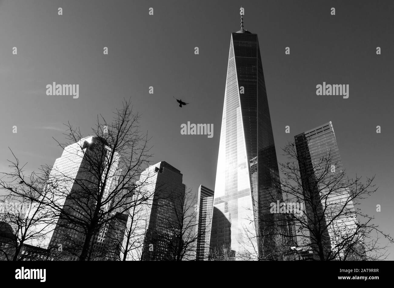 Low angle view of the One World Trade Centre in Manhattan, New York ...