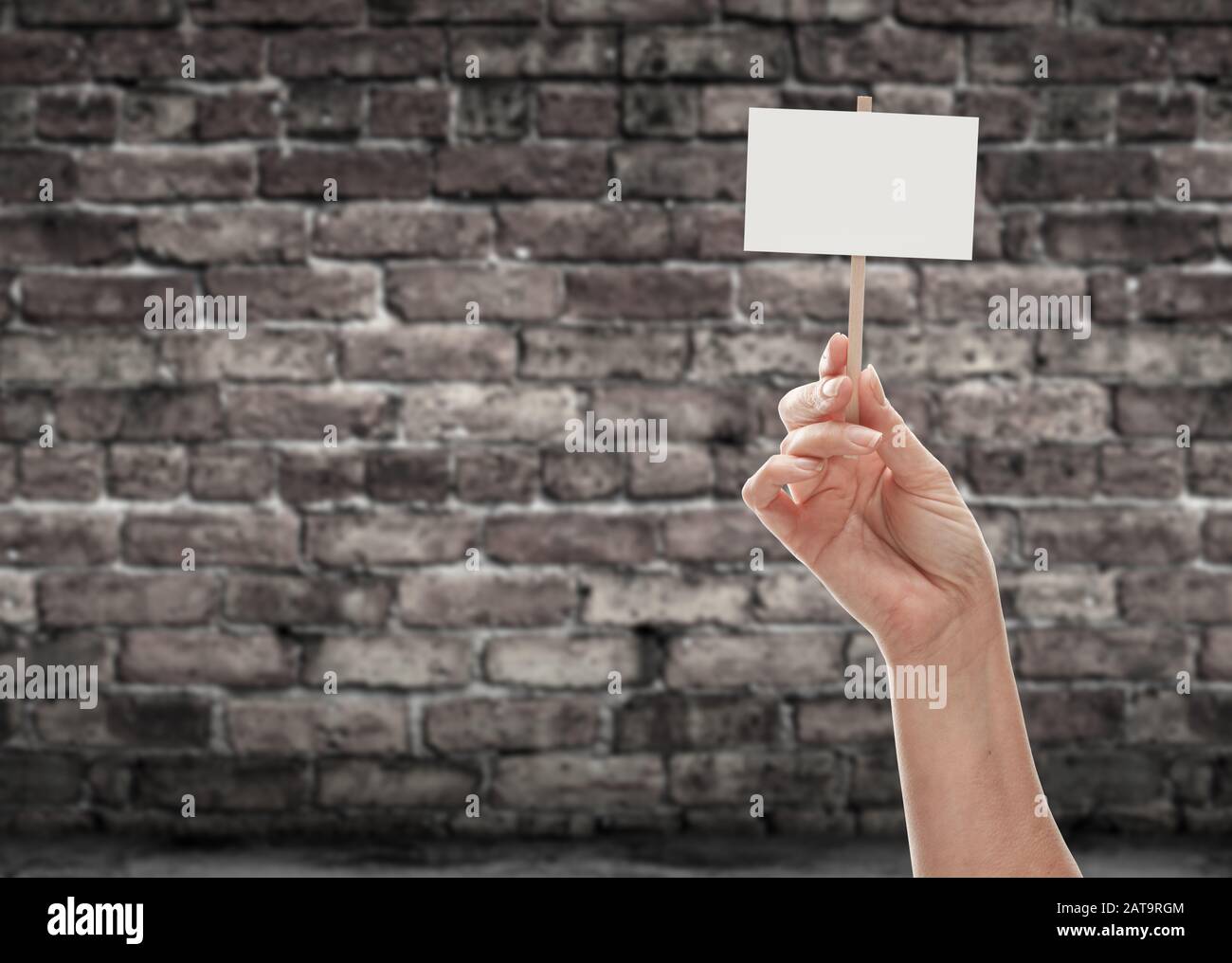Female Hand Holding Blank Sign Against Aged Brick Wall Stock Photo - Alamy