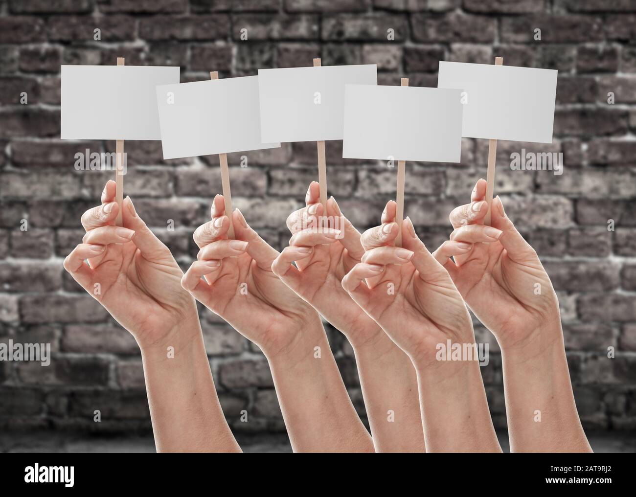 Five Female Hands Holding Blank Signs Against Aged Brick Wall Stock ...